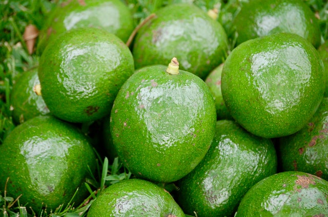 avocado booth 8 $ 2 . 00