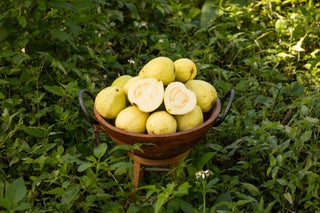 chinese guava $ 6 . 00 lb